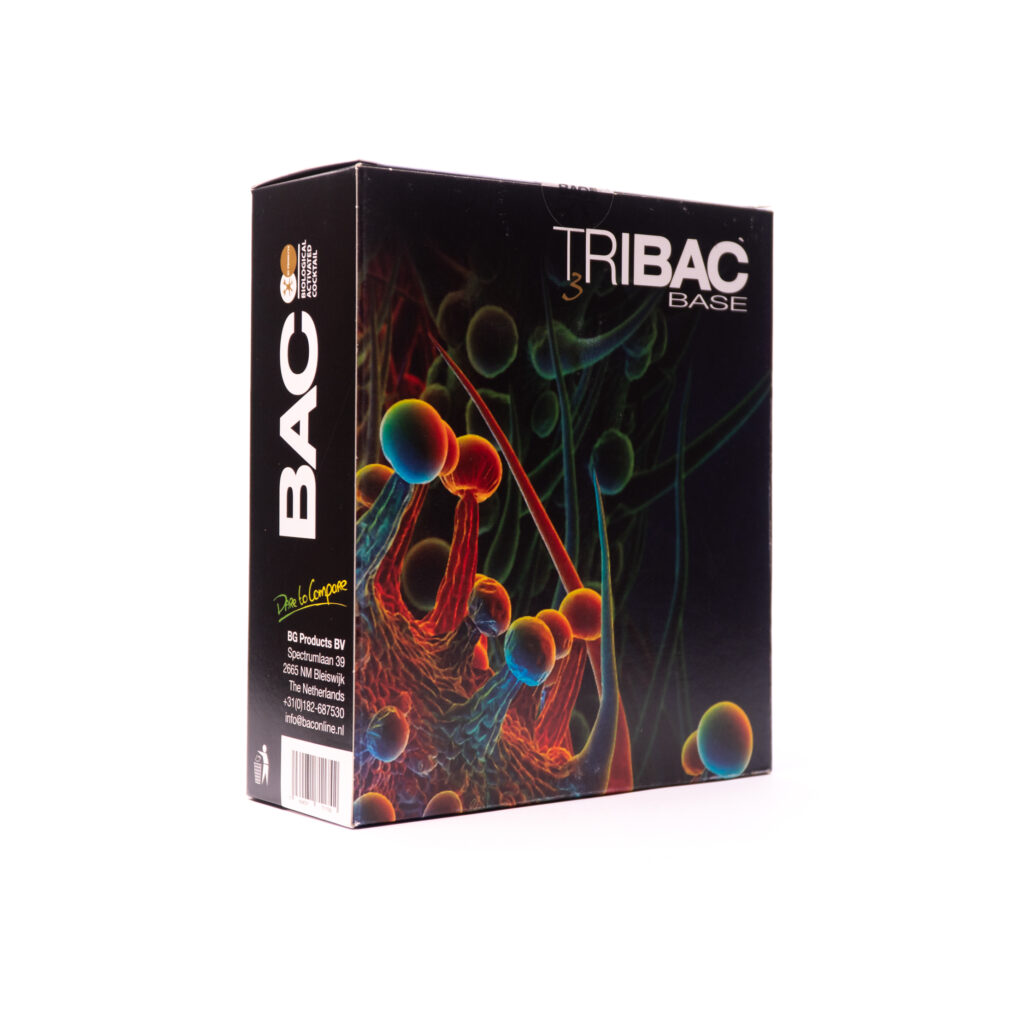 Tribac Base 3